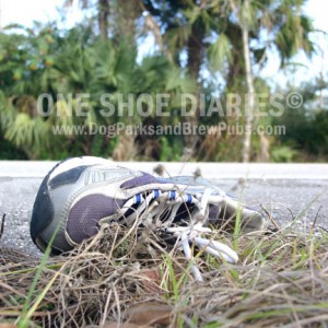 Complete Collection of Lost Sole Photos | The One Shoe Diaries and the ...